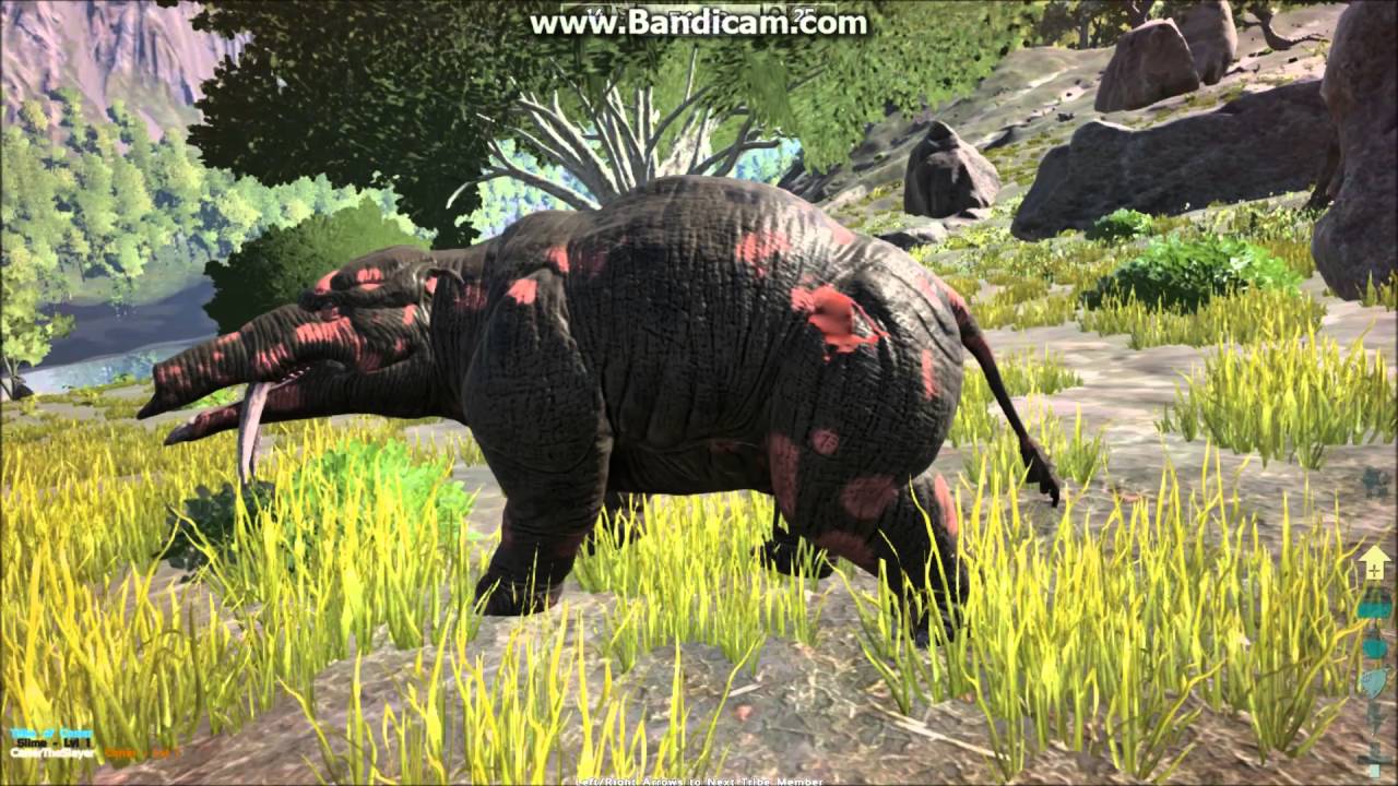 ARK Survival of The Fittest - YouTube