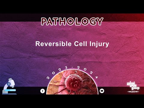 L3, Reversible cell injury, Pathology - YouTube