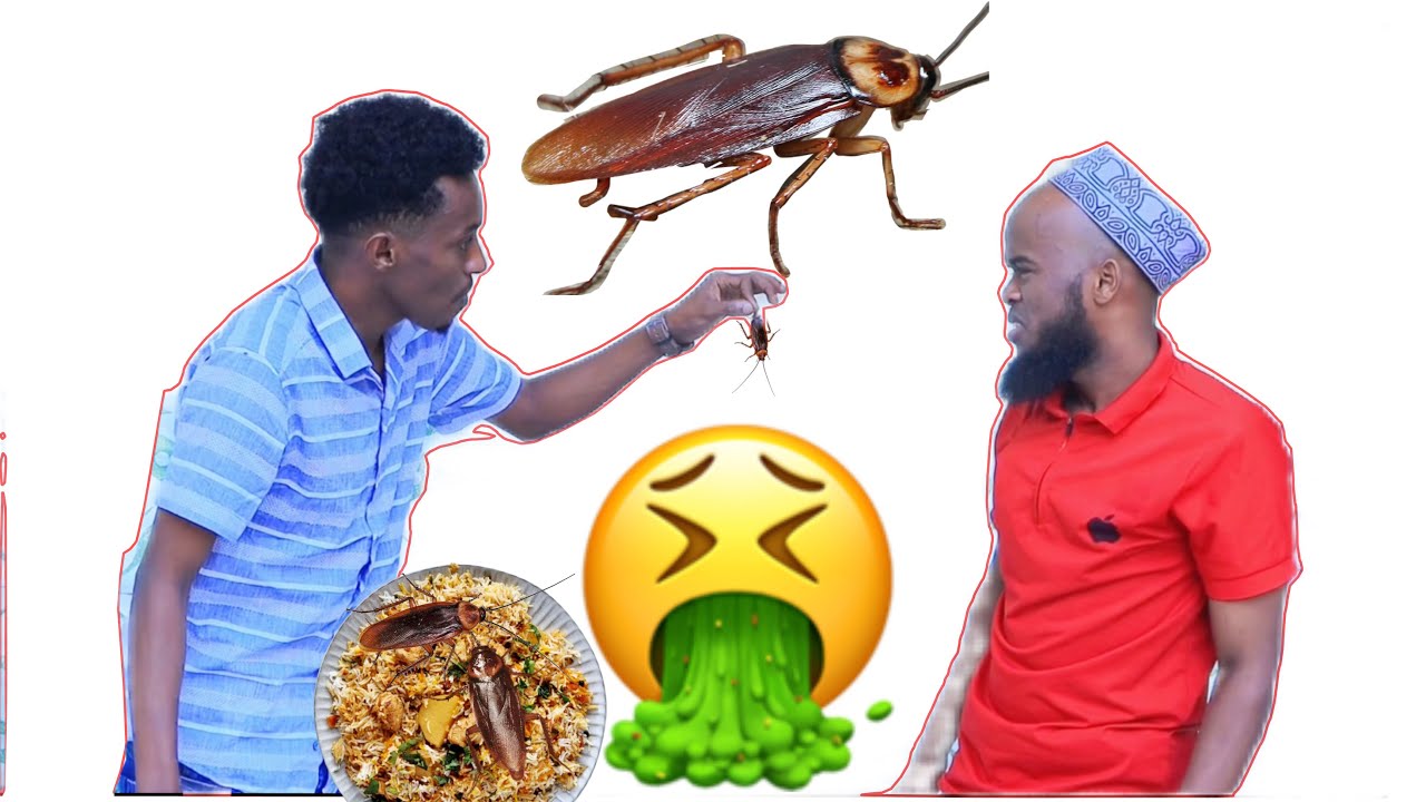 Baranbaro ayaa bariis ugu daraya Sheeko kale 🤮😬 Jaxaf Jaxaf - YouTube