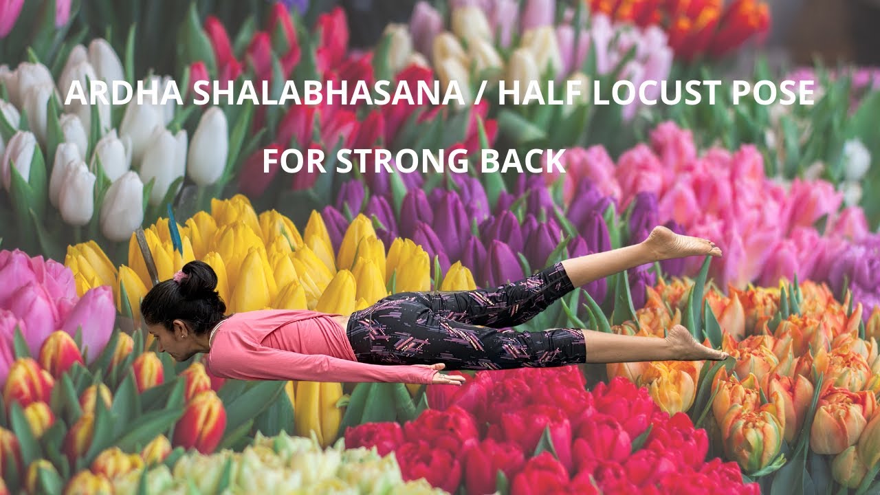 Half LOCUST POSE - YouTube