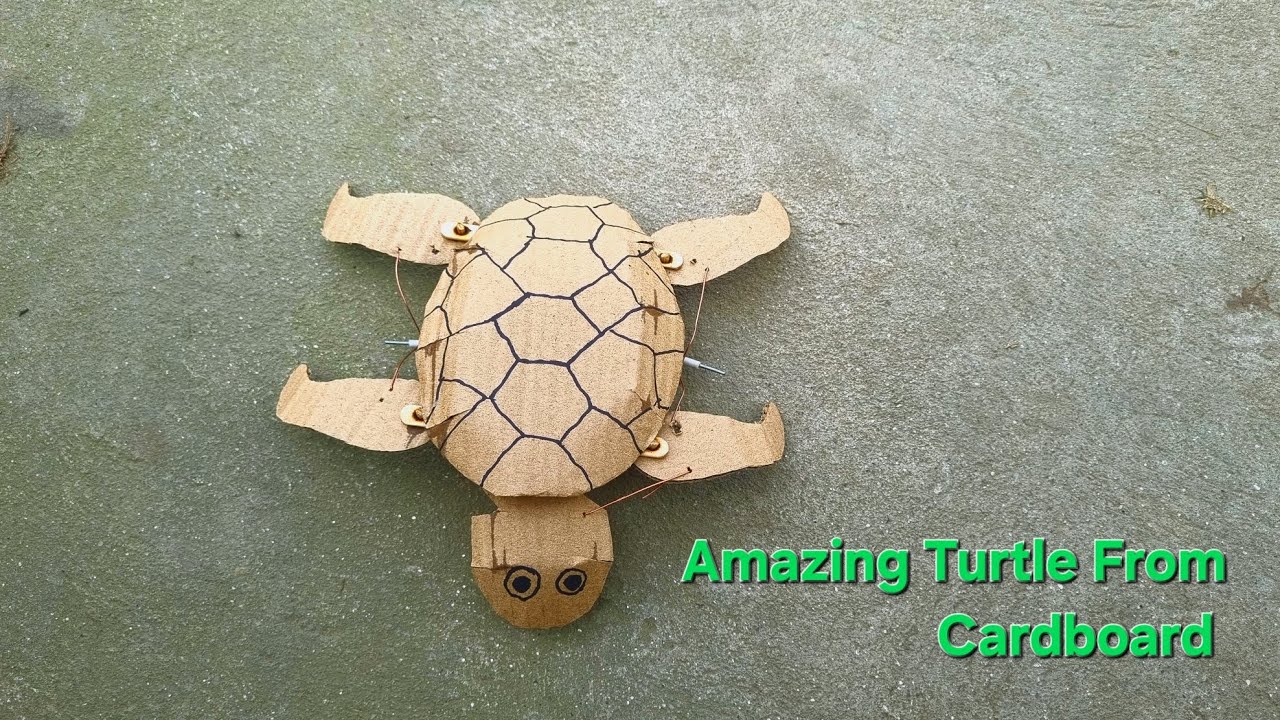 How To Make Turtle From Cardboard at Home😱😱 कार्डबोर्ड से कछुआ बनाना ...