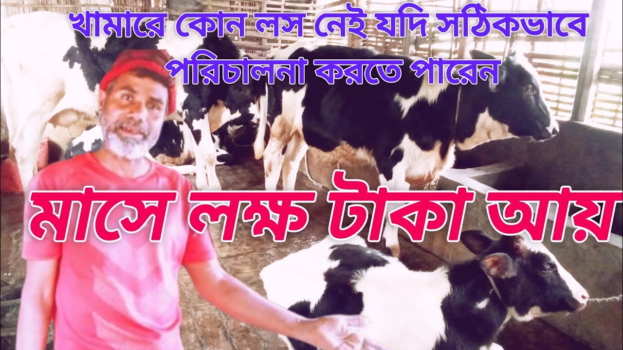 Best cow for dairy farming | love janak gorur kamar |👉খামারে লস হবে কেন ...