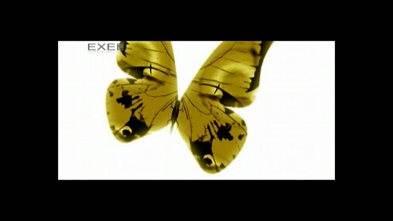 EXEL - SILK LINE for Facial Care - YouTube