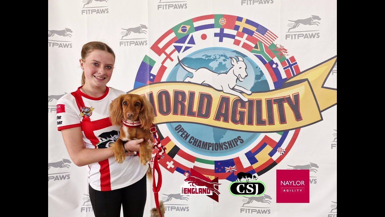 Taylor & Asher at the World Agility Open (WAO) 2025 - YouTube