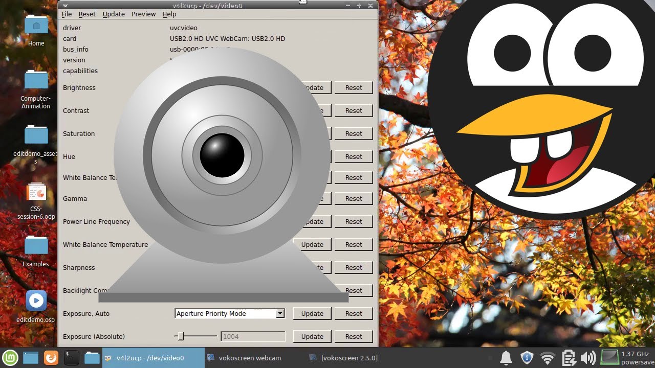 Control webcam brightness, contrast etc in GNU/Linux - YouTube