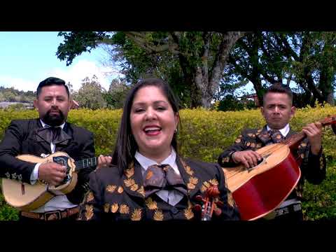 Hoy es día de fiesta.( Cumpleaños )