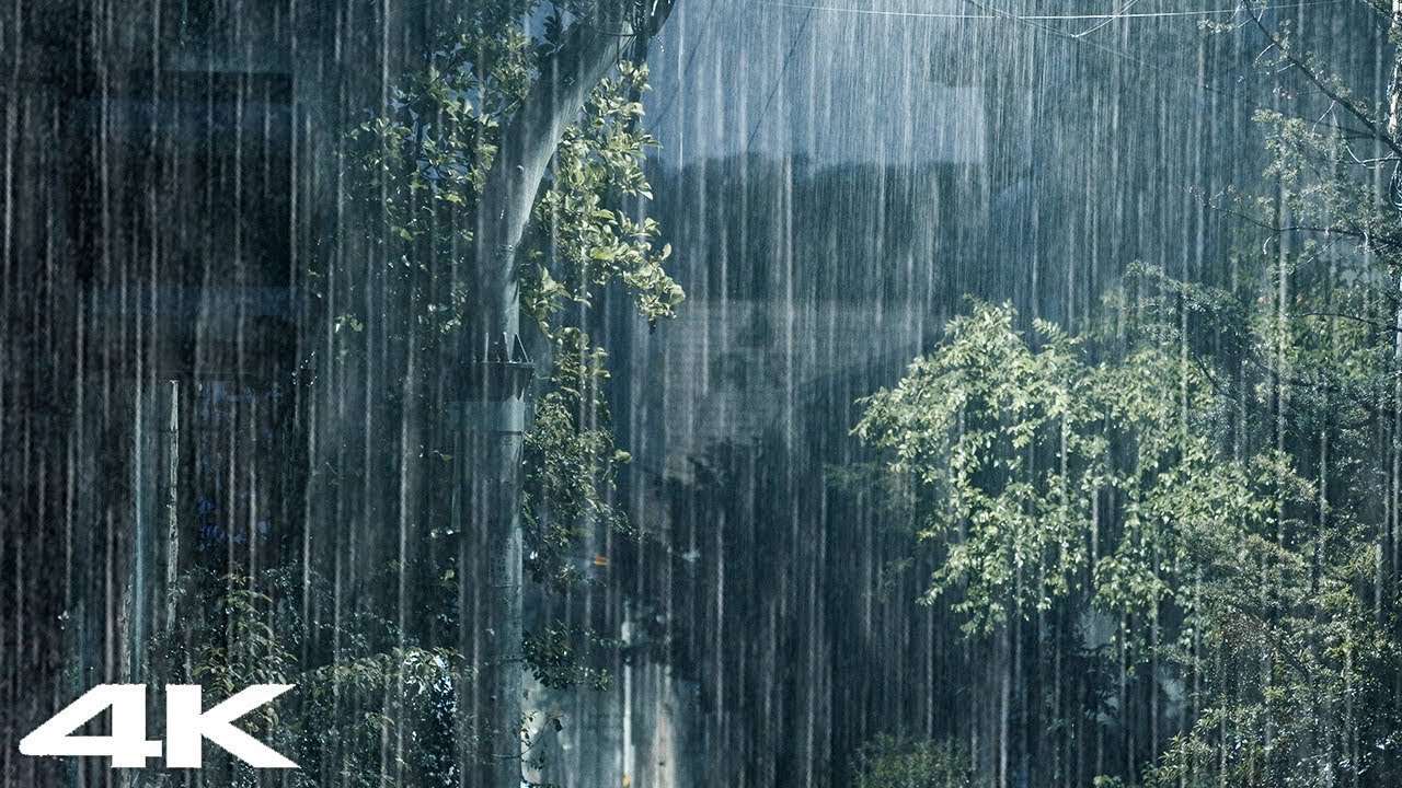 REAL HEAVY RAIN & Intense Thunder Sounds at Night | Rain Sounds For ...