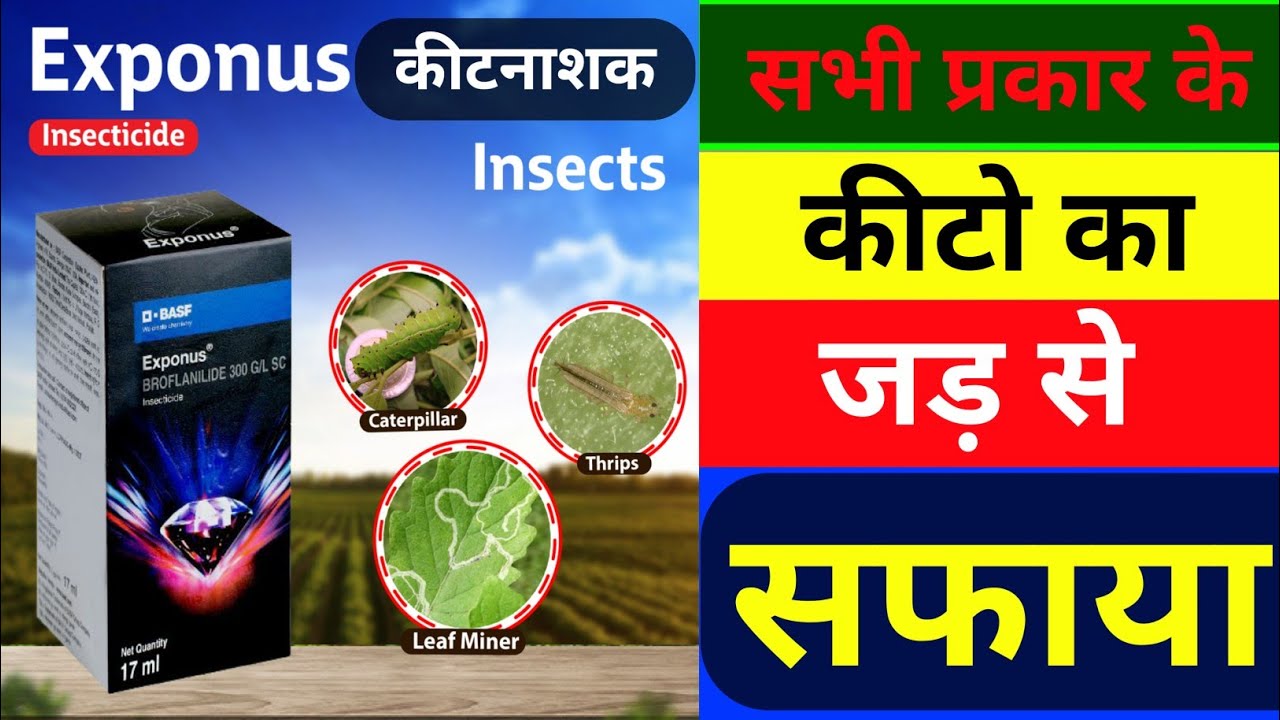 Exponus Insecticide || BASF Insecticide || Broflanilide 300 g/l Sc ...