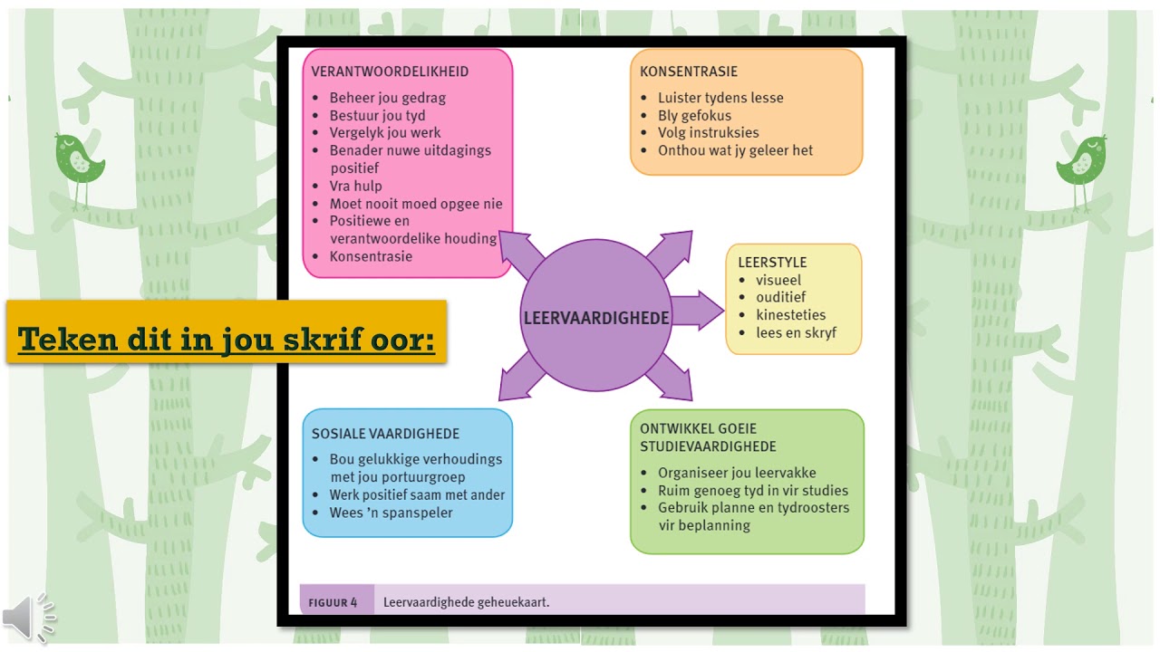 LO GRAAD 8: 15 Mei 2020 - periode 8 (15088) - YouTube