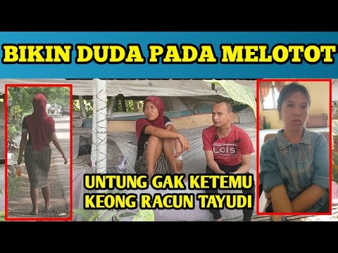 ODGJ JANDA MUDA BODINYA ADUHAI