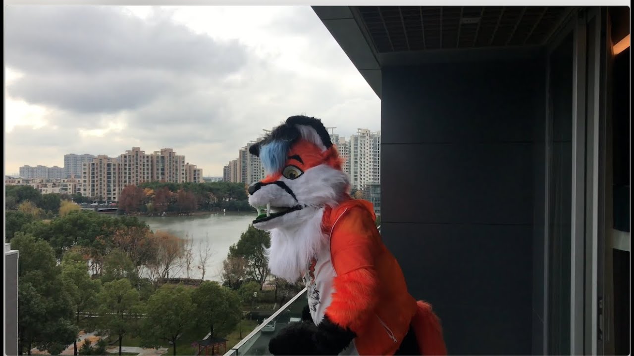 Fancyest Hotel I've been in Shanghai | 2019 Winter Furry Fusion Vlog ...