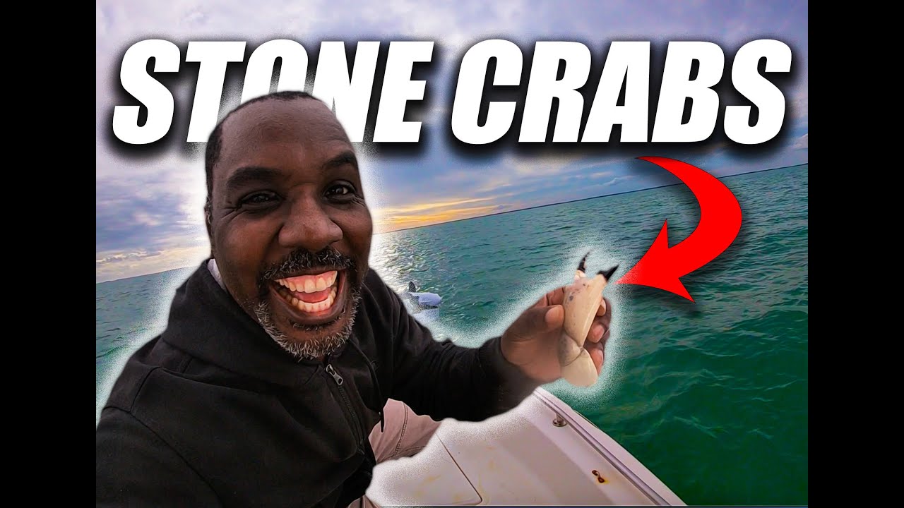 I CANT BELIEVE THAT WORKED catching stone crabs Biscayne Bay, Miami, Fl ...
