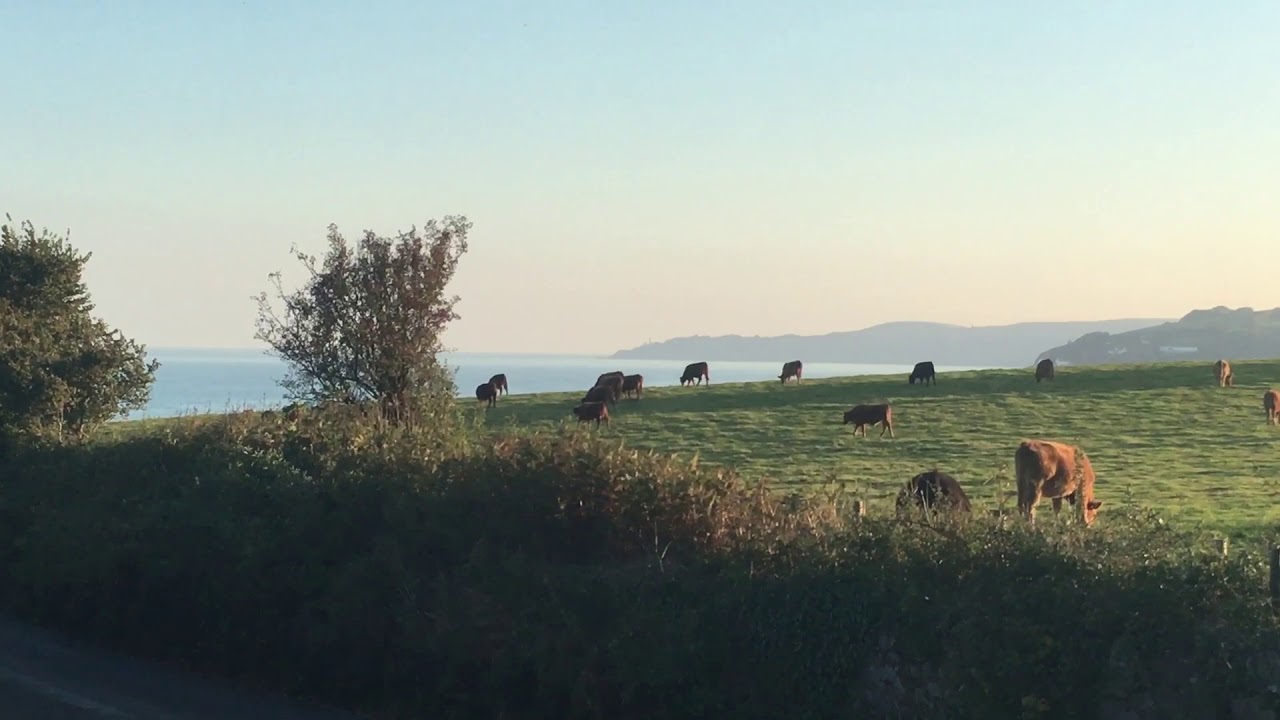 Stunning Start Bay Part 2 | Oct 9th 2018 - YouTube