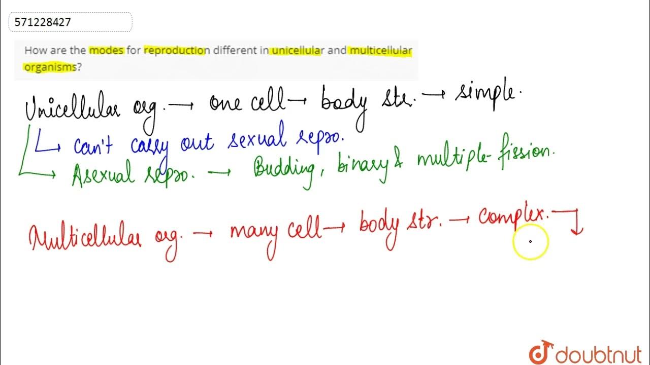 How are the modes for reproduction different in unicellular and multicellular organisms? | 10 ...