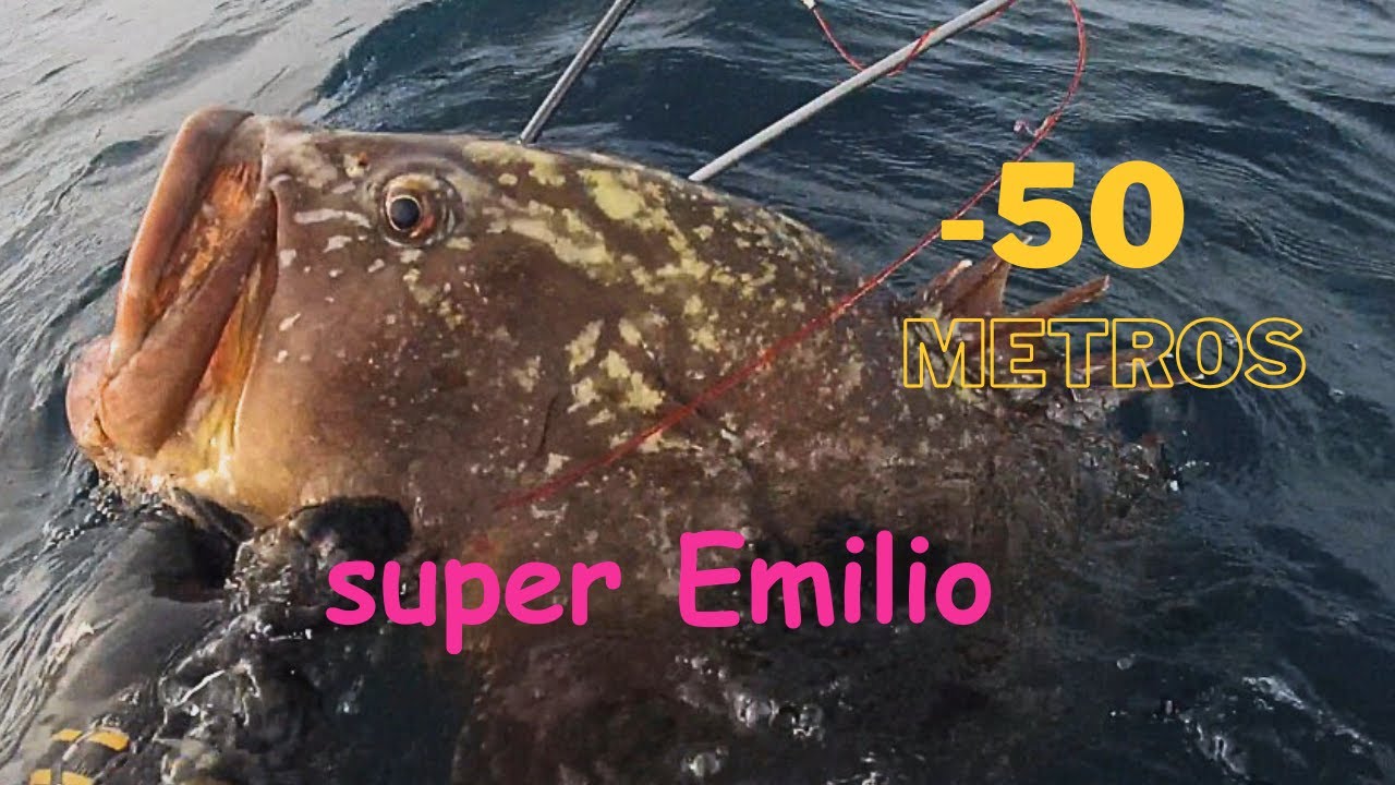 mero a 50 metros de profundidad del pescador Emilio García Teruel ...
