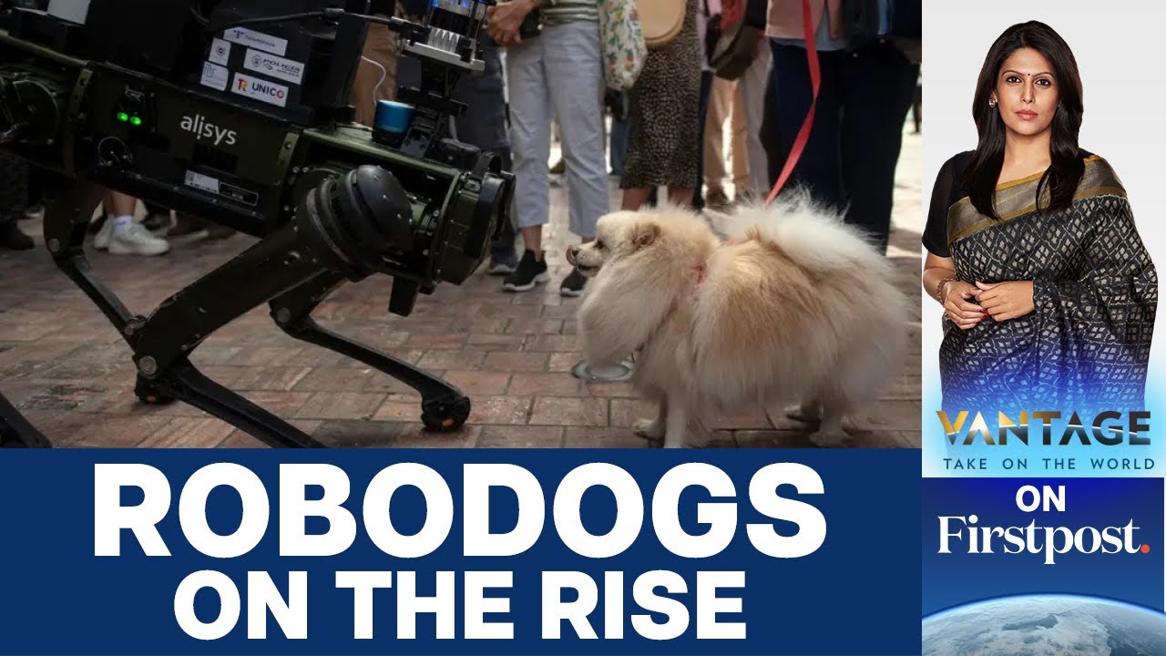 Spain: Police Test Robot Dog to Enforce Traffic Laws | Vantage with ...