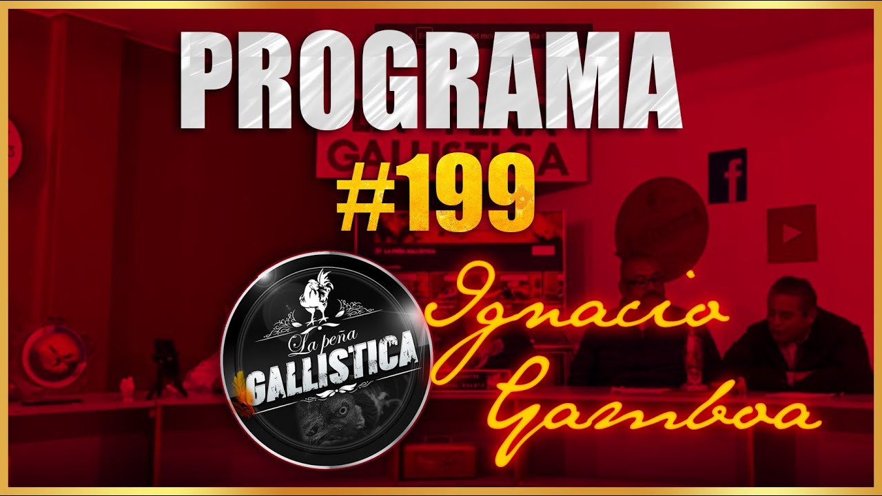 programa 199-Ignacio Gamboa - YouTube