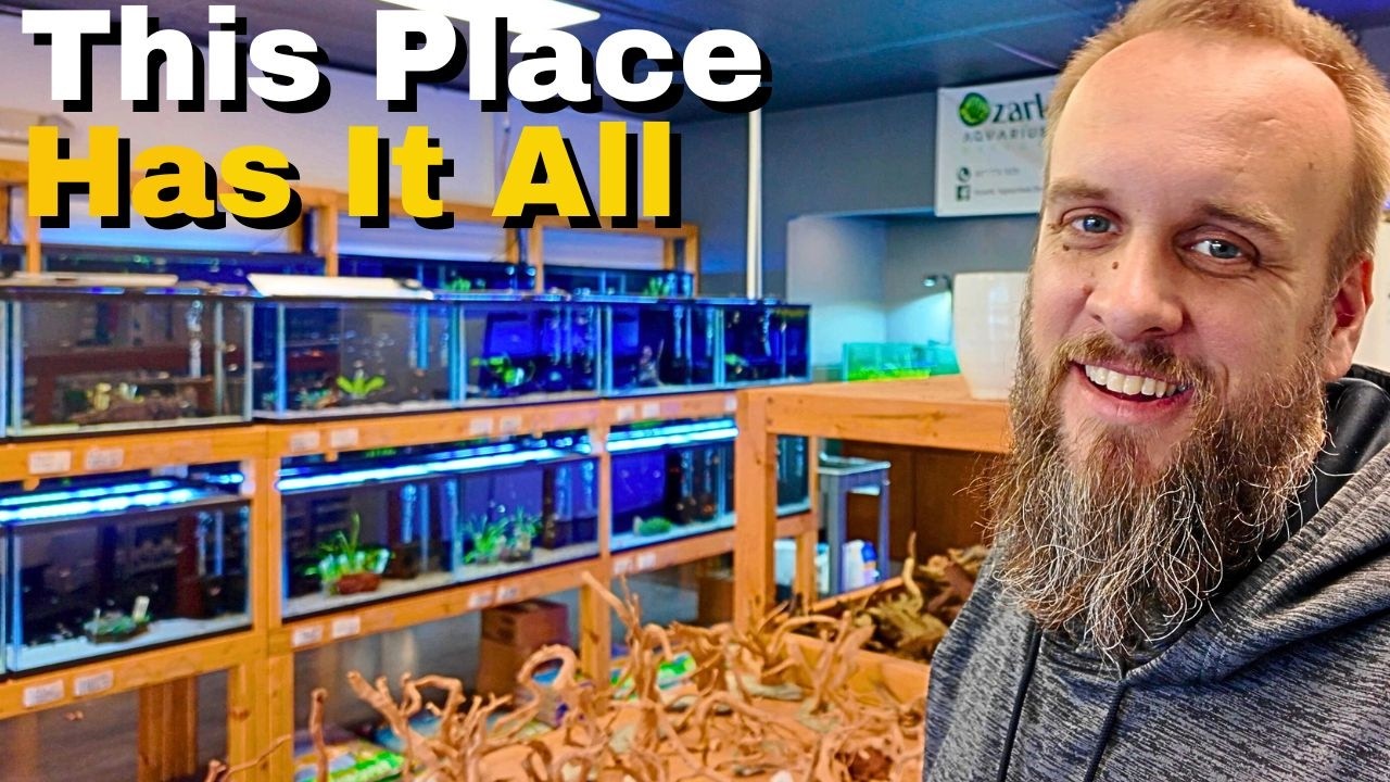 This Epic Fish Store is Worth the Drive - Full Tour - YouTube