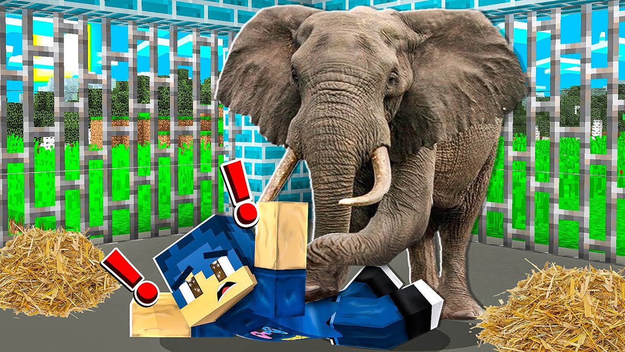 STEF È STATO SCHIACCIATO DA UN ELEFANTE! - MINECRAFT *VITA IN CITTÀ ...