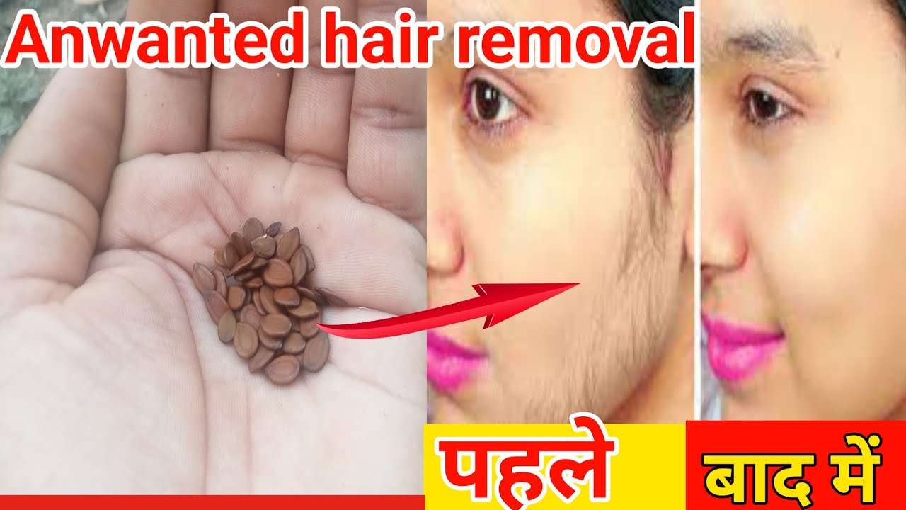 what is the benefit of subabul seed? is subabul tree used for paper? is ...