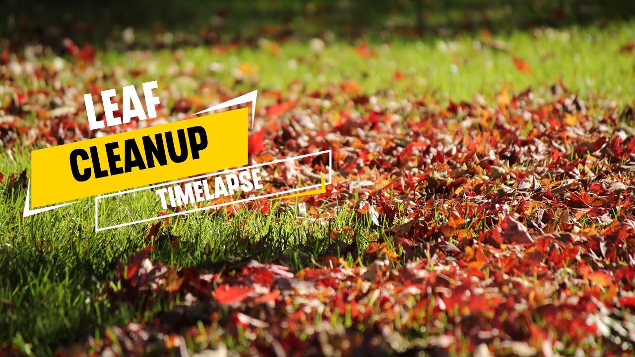 Leaf Cleanup Timelapse - YouTube