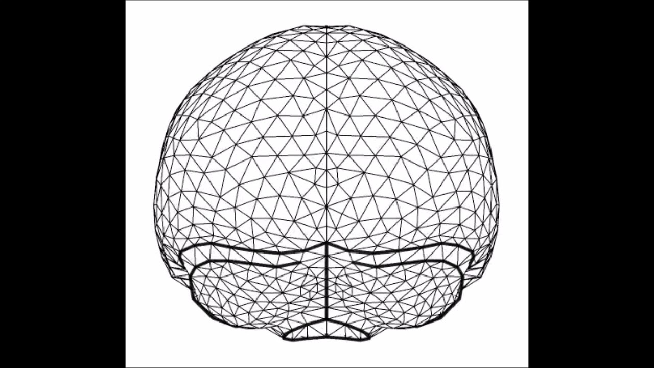 The evolution of modern human brain shape - YouTube