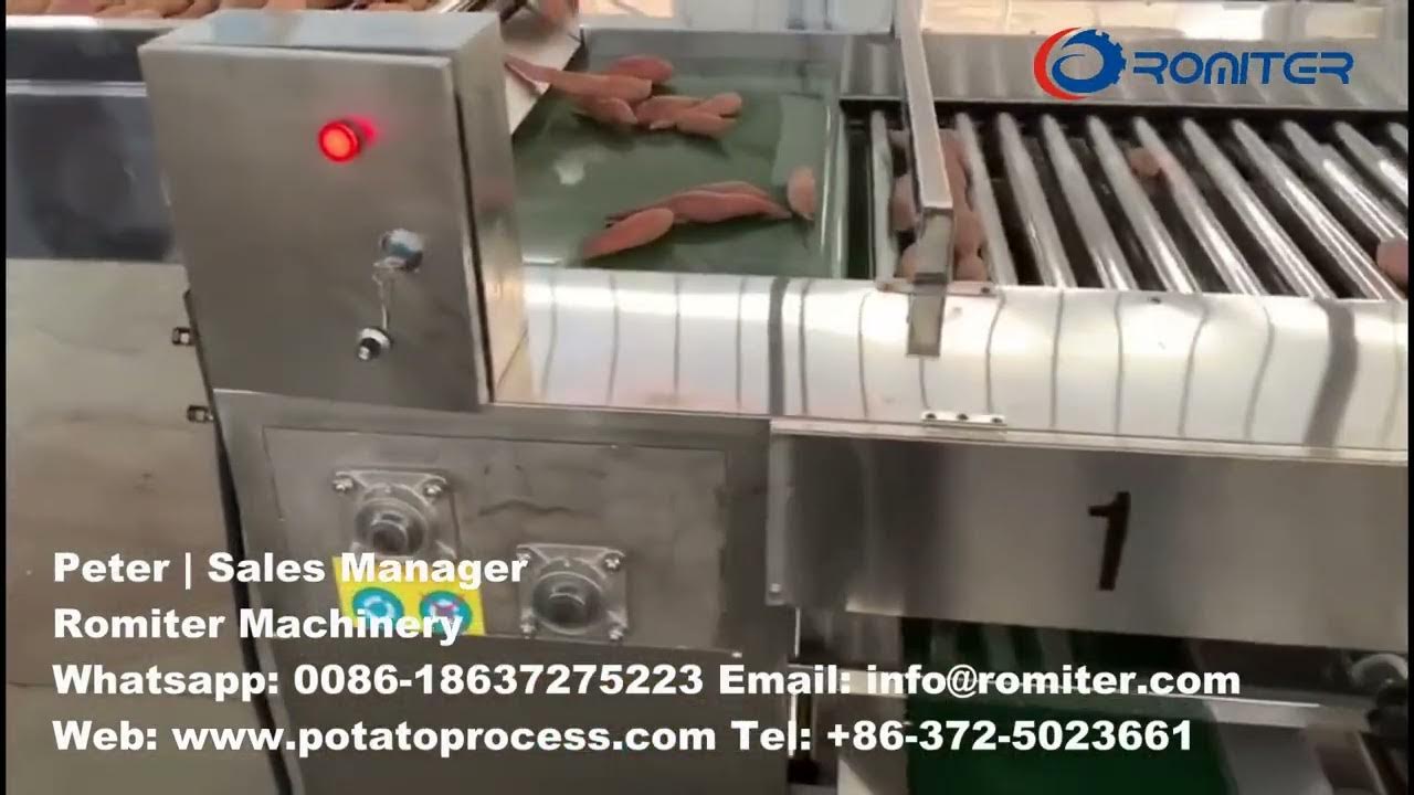 Автоматическая сортировочная машина по размеру сладкого картофеля - YouTube