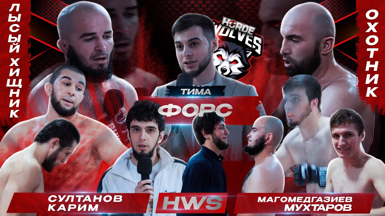 HORDE WOLVES MMA. ТИМА ФОРС В ОКТАГОНЕ. АНВАР vs ОХОТНИК. МУХТАРОВ vs ...
