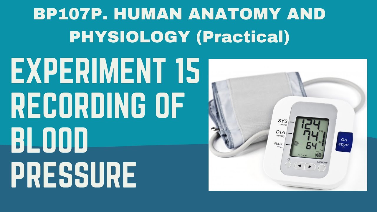 EXPERIMENT 15. Recording of Blood Pressure | HUMAN ANATOMY PRACTICAL ...
