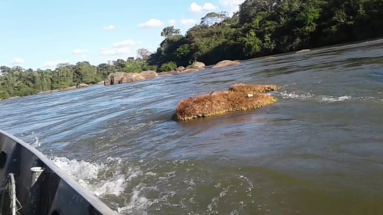 RIO ARIPUANÃ CORREDEIRA - YouTube