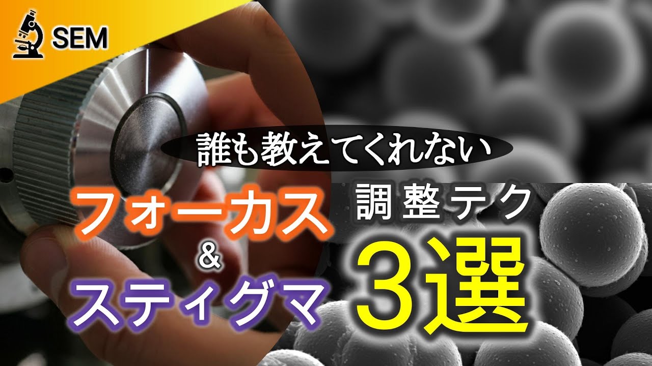 【実践編】SEMにおけるフォーカス＆スティグマ調整のコツをわかりやすく解説！非点収差を補正してクリアで高解像度なSEM画像を撮ろう ...