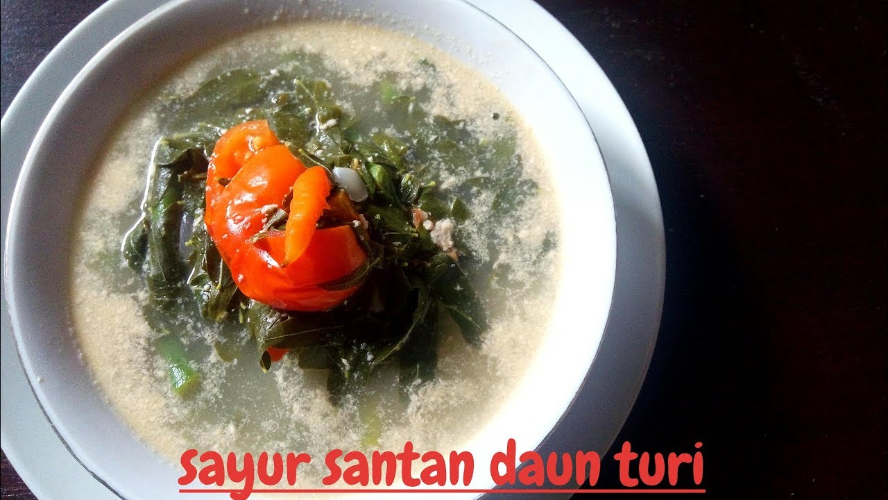 SAYUR SANTAN DAUN TURI - YouTube