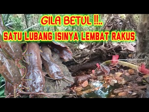Unique fishing !! Lubang Ikan lembat Terdahsyat _ Bikin betah pemancing Lembat