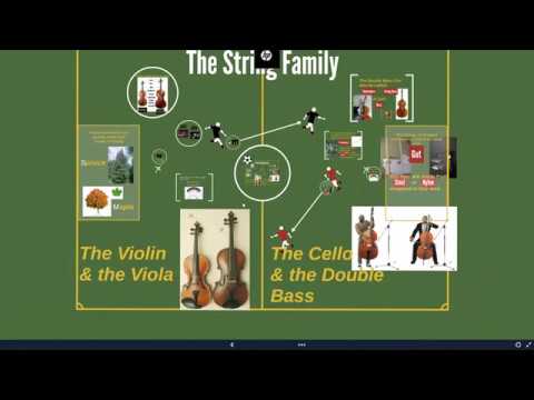 Overview Of String Family