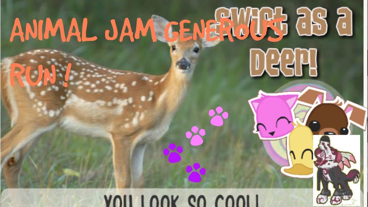 Animal Jam Generous Run! - YouTube