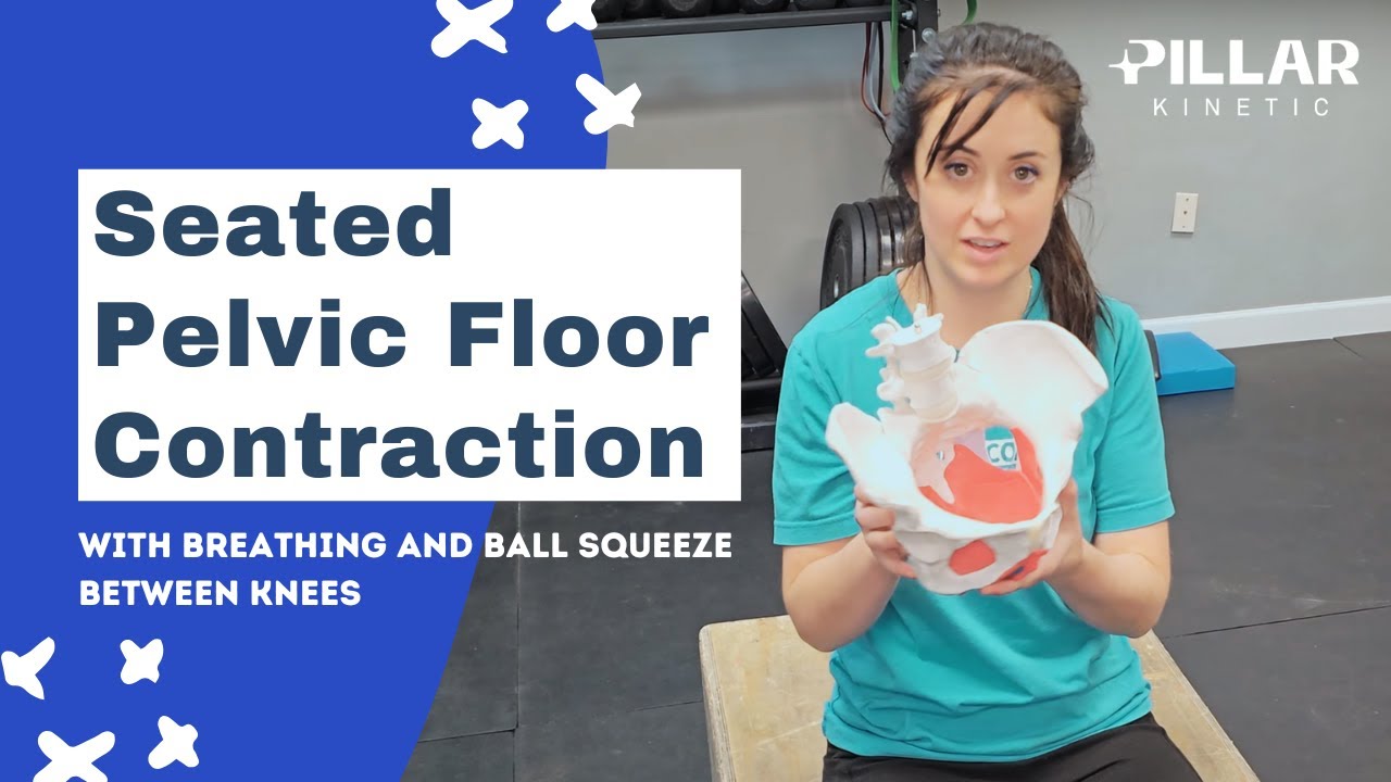 Seated Pelvic Floor Contraction with Breathing and Ball Squeeze Between ...