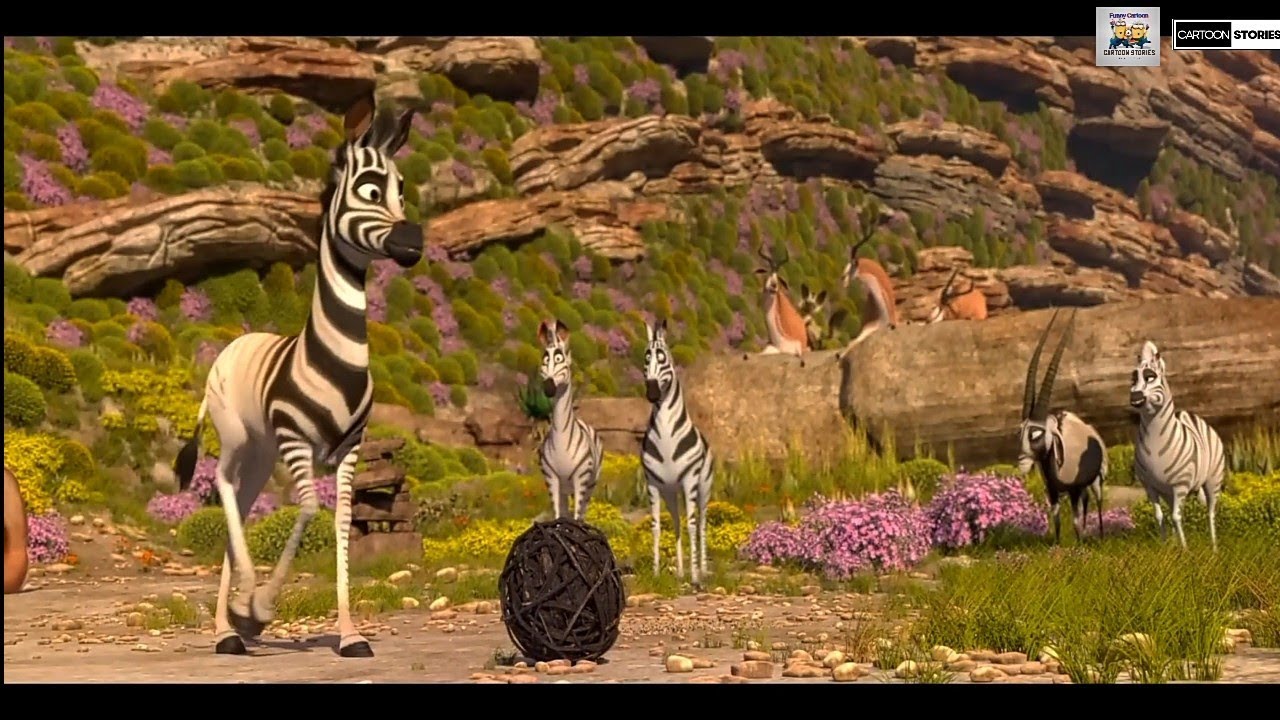 A Zebra Baby is born with half the Stripes, that's why everyone Bullies ...