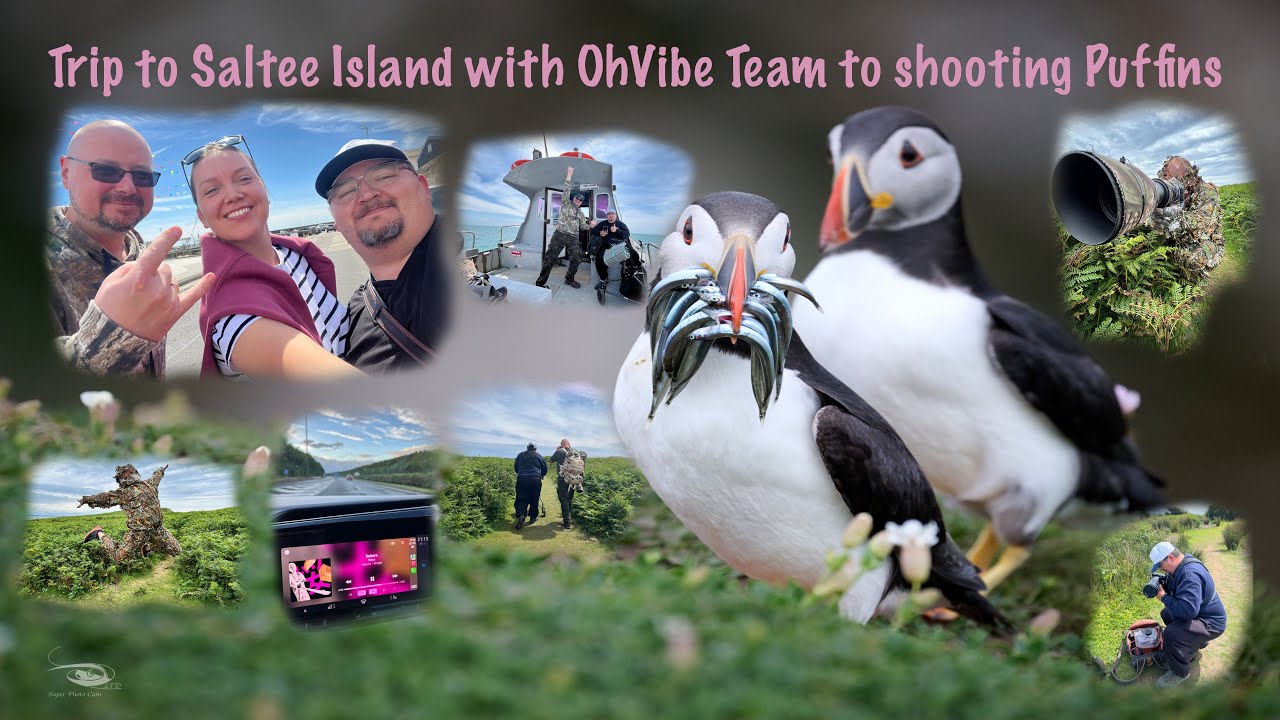 Trip to Saltee Island with OhVibe Team to shooting Puffins - YouTube