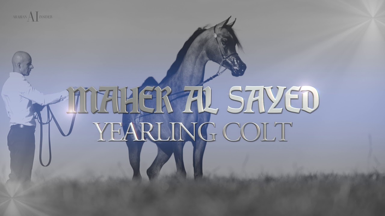 MAHER ALSAYED - PROMO PARIS 2018 - YouTube