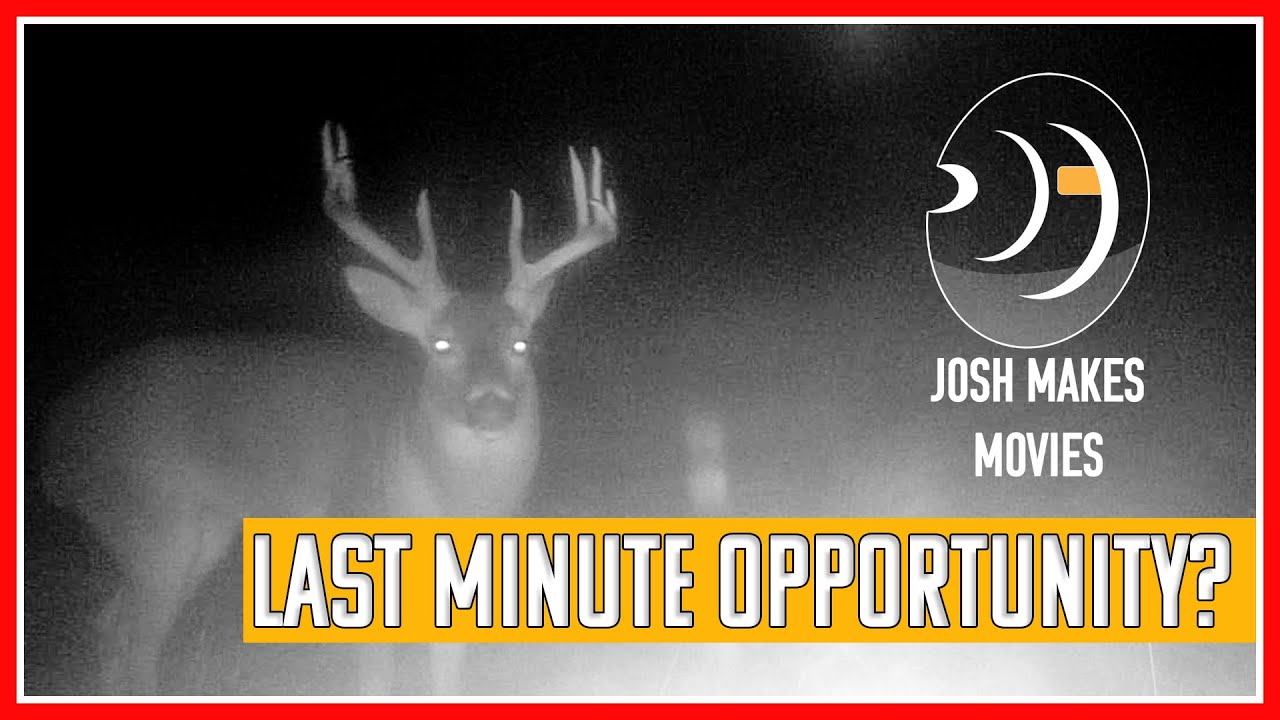 Big Michigan Buck less than 20 yards Part 2 - YouTube
