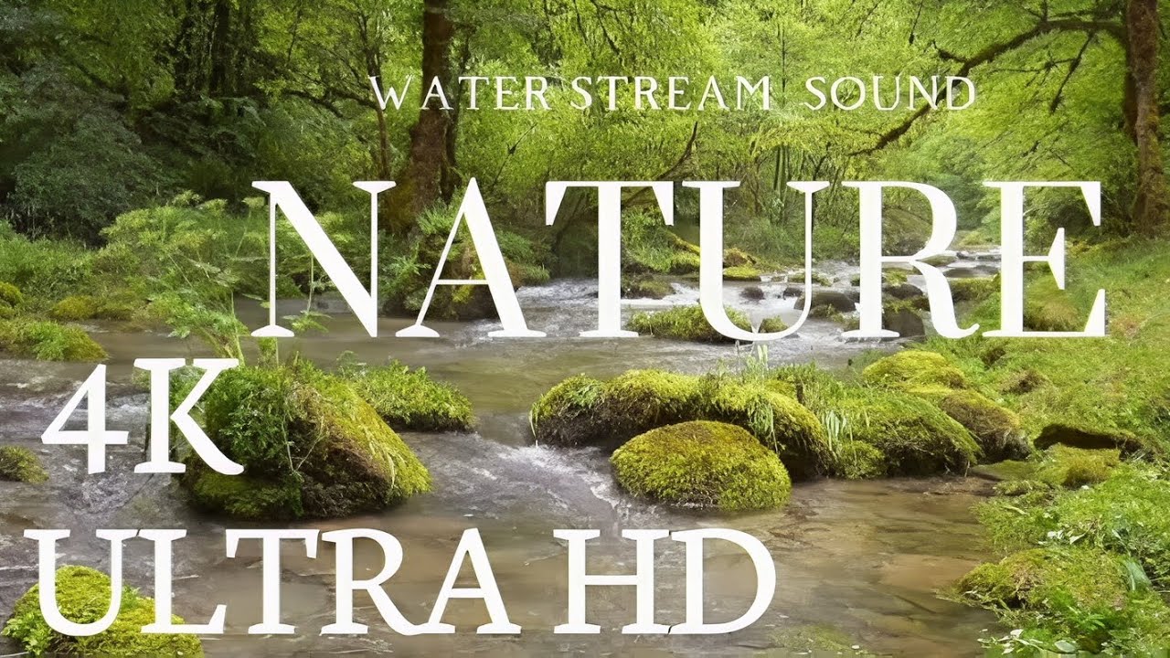 Relaxing Water Stream Music | Water Sound Nature | 4k ULTRA HD - YouTube