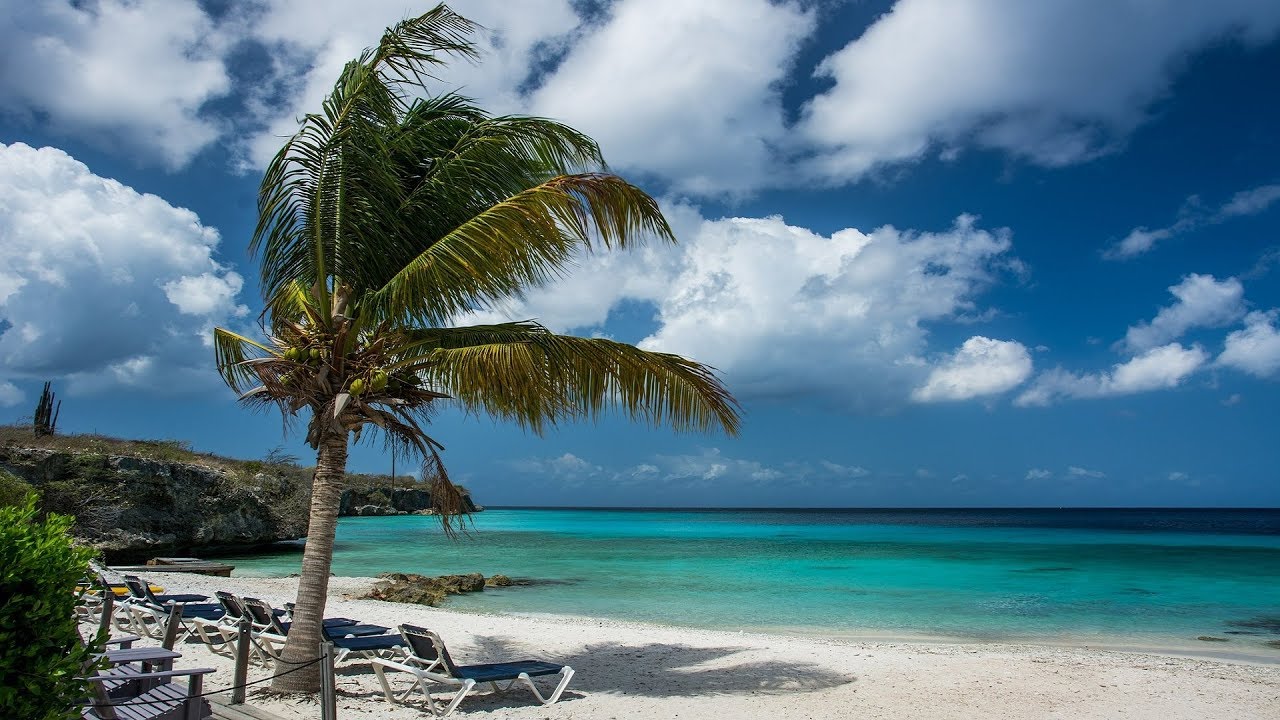 DOUCES VAGUES sur la Plage pour se Relaxer et Dormir • SOFT WAVES on ...