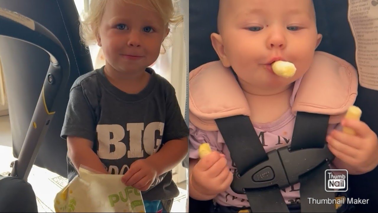 Adam shear his snakes for his sister - YouTube