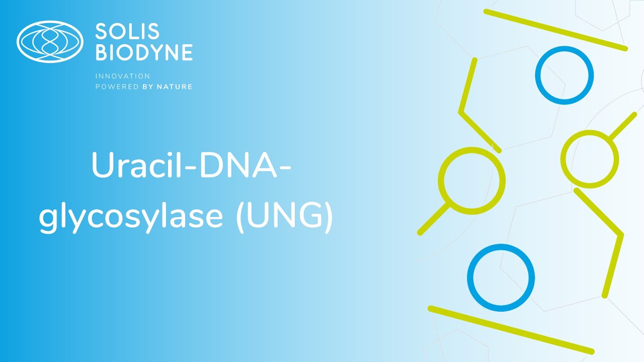Uracil-DNA-glycosylase (UNG) - YouTube