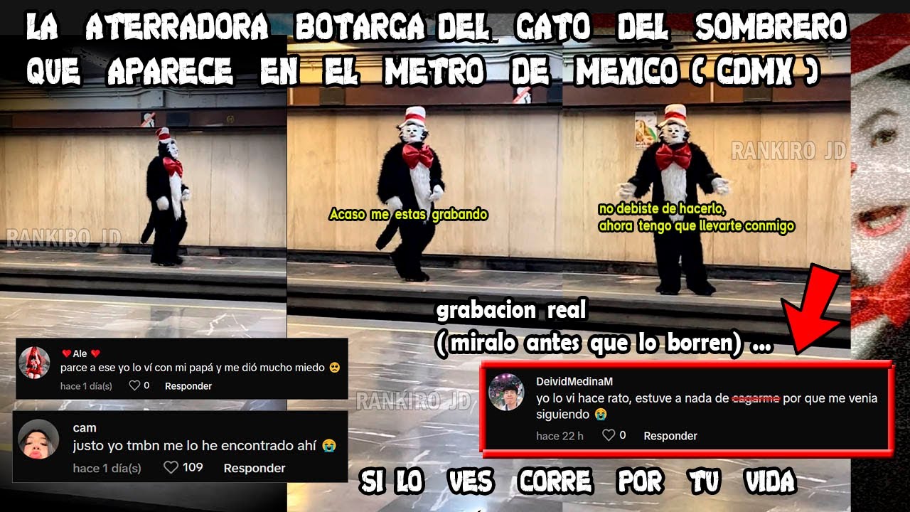 EL Aterrador GATO del SOMBRERO del METRO de la CDMX (LO GRABE) - YouTube