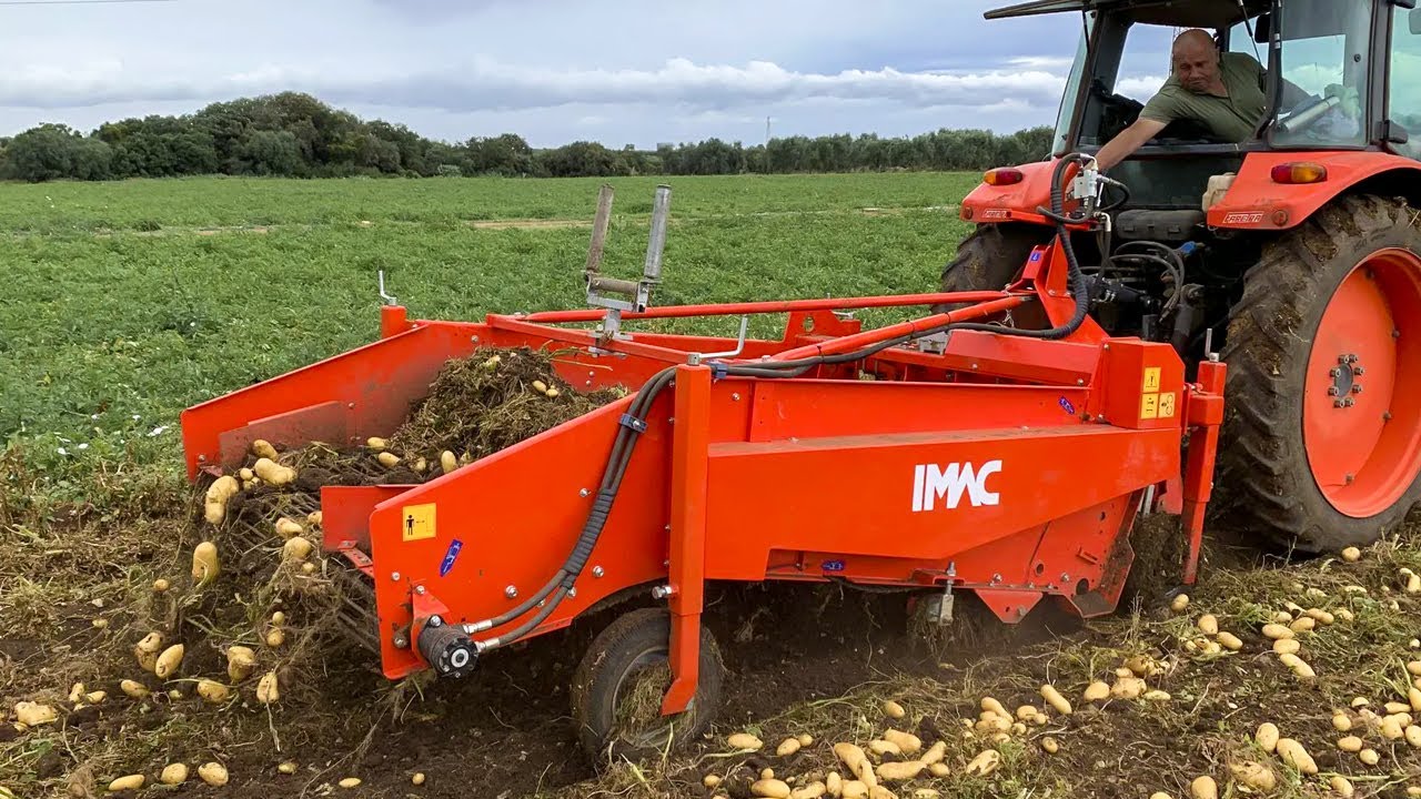 Watch the PD 1650 Potato Digger in Action - Amazing Results Guaranteed ...