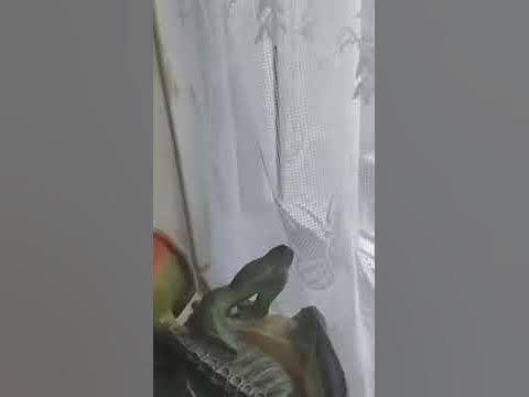 see I told you all - YouTube