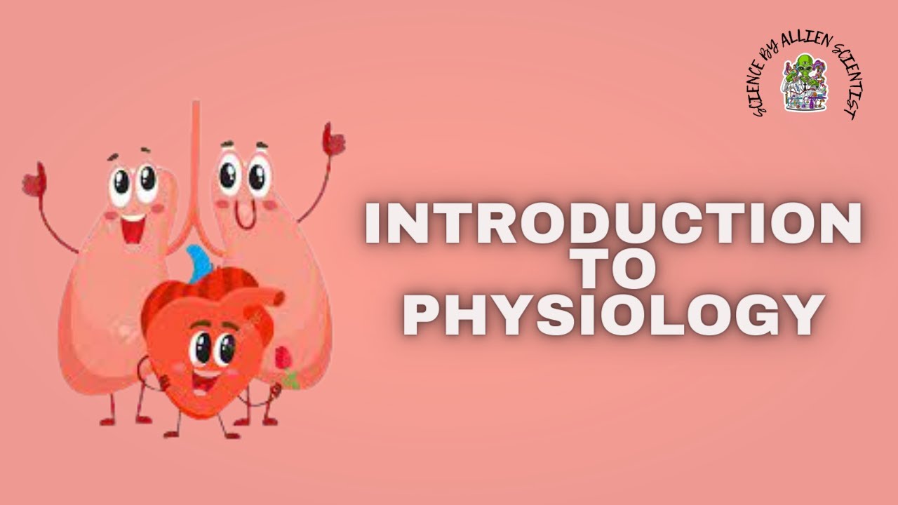 Introduction to physiology | what is physiology? - YouTube