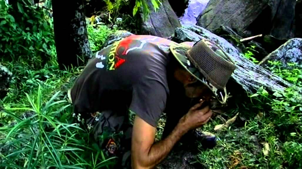 Strain Hunters Malawi Portuguese Subtitles - YouTube