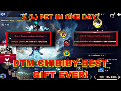 MIR4-DTM CHIBIBY TRANSCENDS TWO LEGENDARY PET IN ONE DAY | UNLUCKY DAY ...